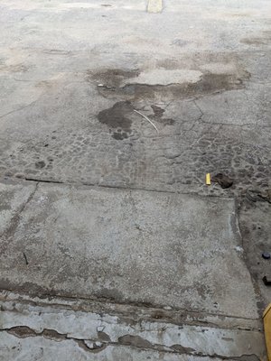 BILL CURRIE FORD - Updated August 2025 - 116 Photos & 284 Reviews ...