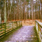 STUMPY LAKE NATURAL AREA - 237 Photos & 17 Reviews - 4794 Indian River ...