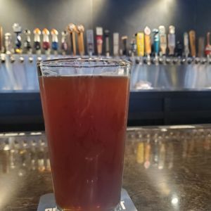 GLOBAL BREW TAP HOUSE - 63 Photos & 57 Reviews - 9578 Manchester Rd ...