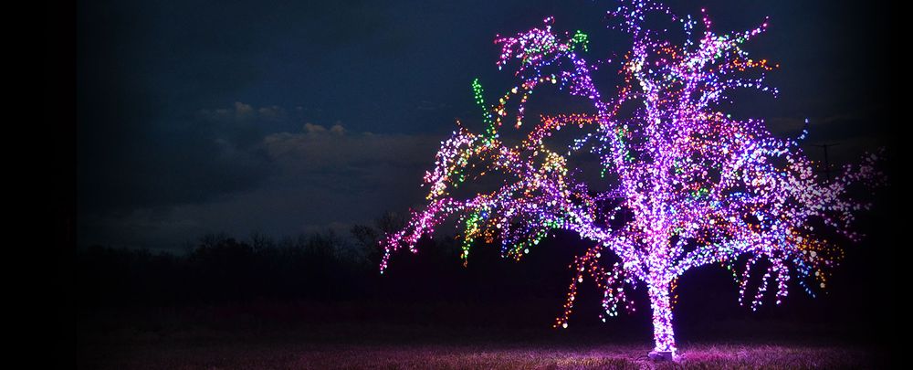 THE MAGIC TREE HOLIDAY POP-UP BAR - Updated December 2025 - 1401 NW ...