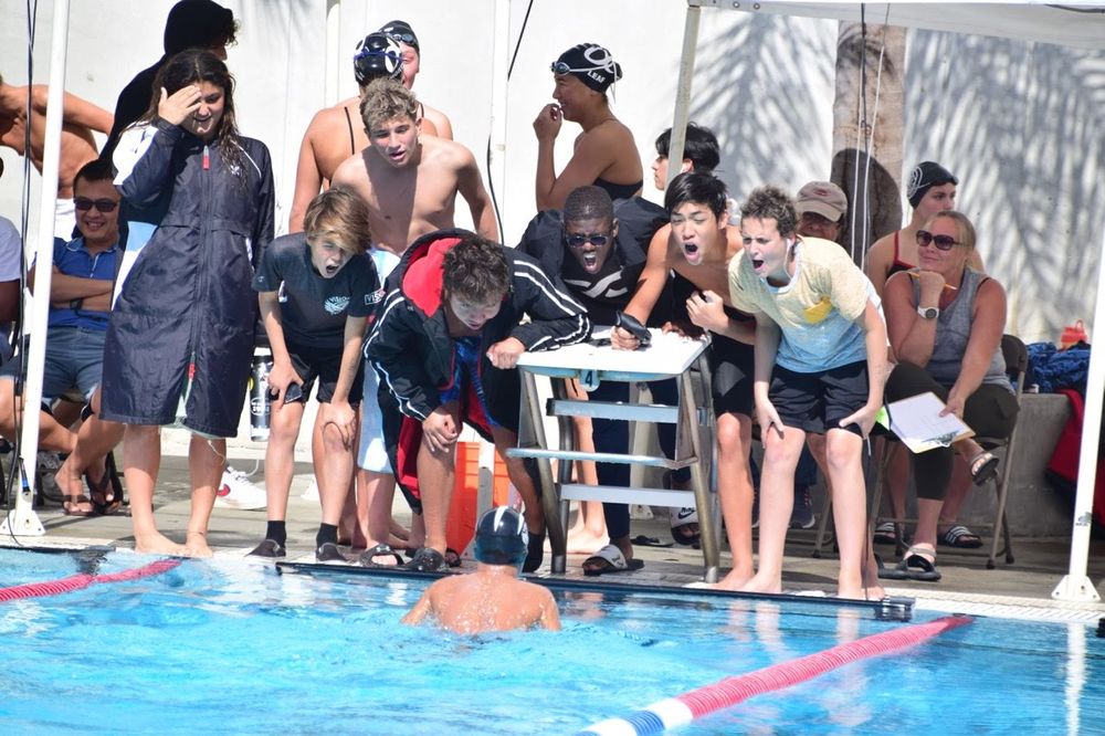 VISION SWIM - Updated March 2025 - 58 Photos - 509 S Pacific Ave ...