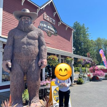 ELBE MARKET COUNTRY STORE - Updated November 2025 - 30 Photos & 21 ...