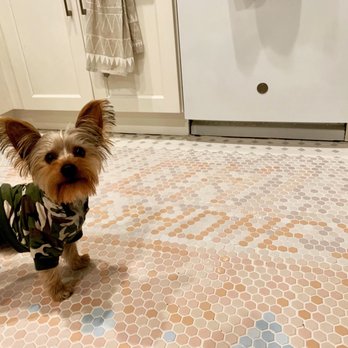 CAL TILE CO - Updated December 2025 - 48 Photos & 62 Reviews - 1713 ...