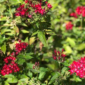 INGRAHAM PARK - Updated June 2025 - 56 Photos & 11 Reviews - 4751 ...