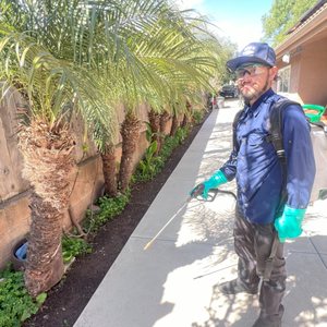 CORKY’S PEST CONTROL - Updated September 2025 - 45 Photos & 575 Reviews ...