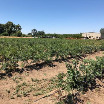 BIG L RANCH - Updated October 2025 - 88 Photos & 12 Reviews - 20899 Ave ...