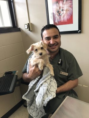 COLMA ANIMAL HOSPITAL - 71 Photos & 195 Reviews - Veterinarians - 1232 ...