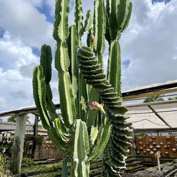 ISAAC FARMS - Updated January 2026 - 456 Photos & 113 Reviews - 18800 ...