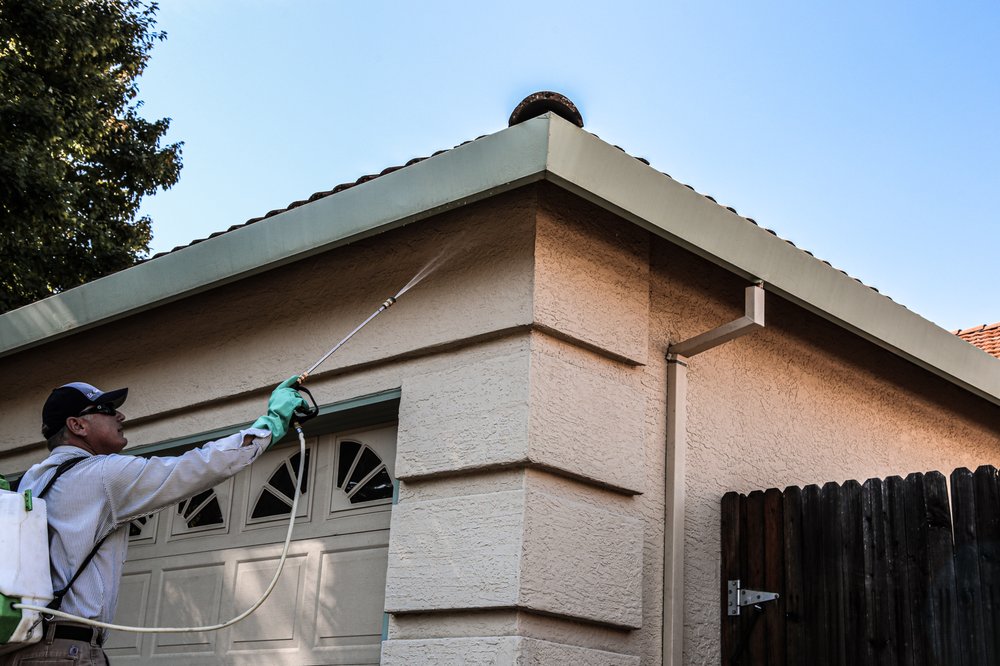 ECOGUARD PEST MANAGEMENT - Updated December 2025 - 40 Photos & 196 ...