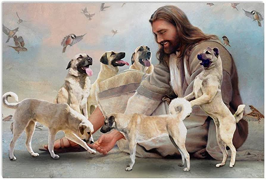 GOOD SHEPHERD DOG AND CAT SITTING - Houston, Texas - Pet Sitting ...
