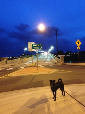 MANETTE BRIDGE - Updated October 2025 - 22 Photos - Manette Bridge ...