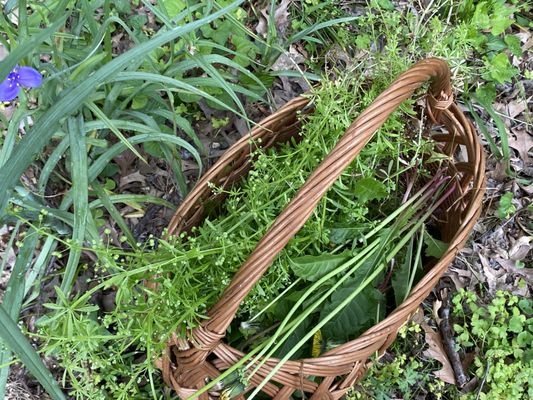 FIRSTKEY HOMES - Updated December 2025 - 141 Photos & 128 Reviews ...