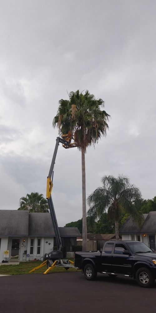 SHARP CUT TREE SERVICE - Updated September 2025 - 19 Photos - 4414 N ...