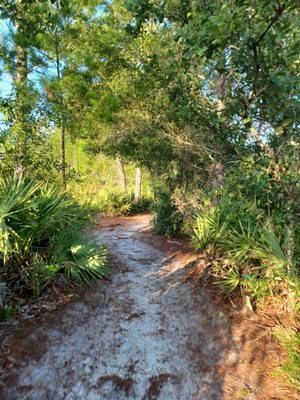 GENEVA WILDERNESS AREA - Updated December 2024 - 303 Photos - 3485 N ...