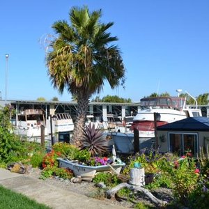 PITTSBURG MARINA - Updated October 2025 - 56 Photos & 18 Reviews - 51 ...