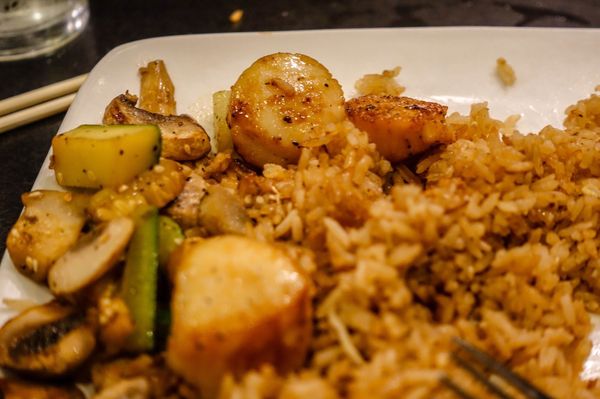 HIBACHI JAPAN STEAK HOUSE - 55 Photos & 83 Reviews - Japanese - 1803 ...