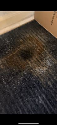 REDPOINT COLUMBIA - Updated July 2024 - 68 Photos & 93 Reviews - 1050 ...