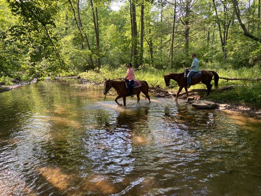 THE ROCKING S RANCH - Updated May 2025 - 74 Photos & 24 Reviews - 564 ...
