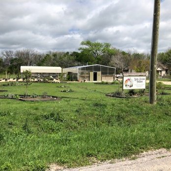 LION OF JUDAH FARM - Updated December 2025 - 4696 Little Flock Rd ...