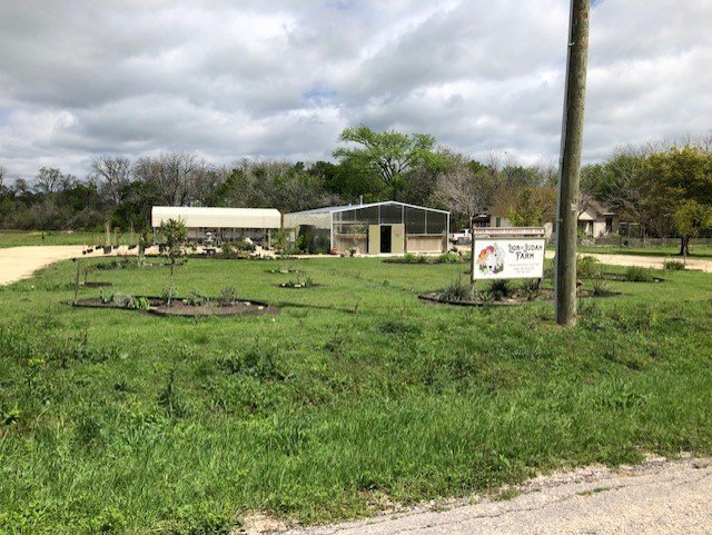 LION OF JUDAH FARM - Updated December 2025 - 4696 Little Flock Rd ...