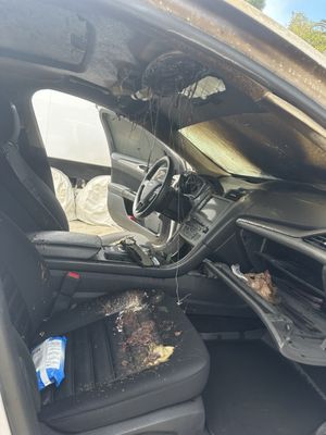 AUTONATION FORD VALENCIA - Updated November 2025 - 154 Photos & 753 ...