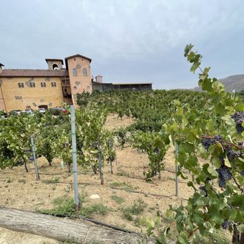 FAZELI CELLARS WINERY - 1304 Photos & 914 Reviews - 37320 De Portola Rd ...