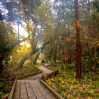 SHANNON HILLS PARK - Updated July 2025 - 38 Photos - 202 Devon Ave ...