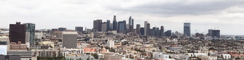 REICH ADELL & CVITAN - Updated October 2025 - Request Consultation ...