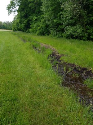 THOMAS J EVANS FOUNDATION PARK - Updated November 2025 - 10255 Mcintosh ...