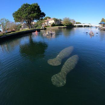 MANATEE PADDLE - Updated July 2025 - 38 Photos & 41 Reviews - 538 N ...