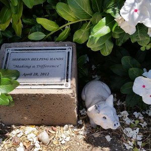 JOHN RAINS HOUSE - Updated February 2025 - 19 Photos & 10 Reviews ...