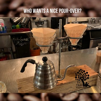 THE FIG TREE COFFEE, ART, & MUSIC LOUNGE - 287 Photos & 216 Reviews ...