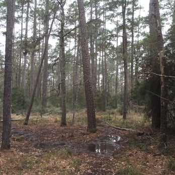 WILLIAM GOODRICH JONES STATE FOREST - Updated December 2025 - 50 Photos ...