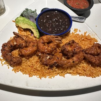 RIO MAMBO - Updated February 2025 - 80 Photos & 170 Reviews - 1302 S ...