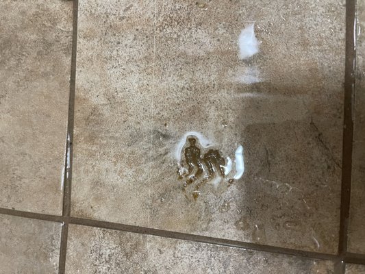 EAGLE TREE RV PARK - Updated September 2025 - 20 Photos & 33 Reviews ...