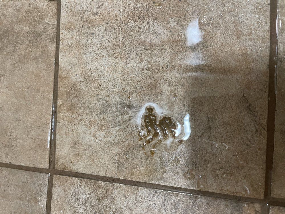 EAGLE TREE RV PARK - Updated December 2025 - 20 Photos & 33 Reviews ...