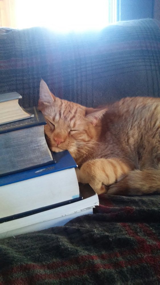 PRAIRIE FOX BOOKS - 719 La Salle St, Ottawa, IL - Yelp