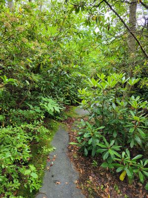 FORBES STATE FOREST - Updated May 2025 - 63 Photos - 1291 Route 30 ...