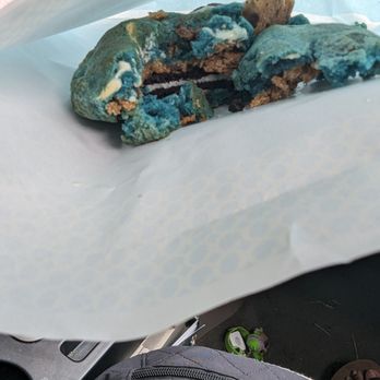 COCO PLAYA - Updated June 2024 - 76 Photos & 44 Reviews - 3030 Kurtz St ...