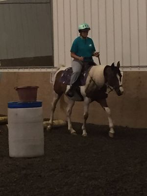 JACK PINE STABLES - Updated December 2024 - 12 Photos - 23940 291st Ave ...