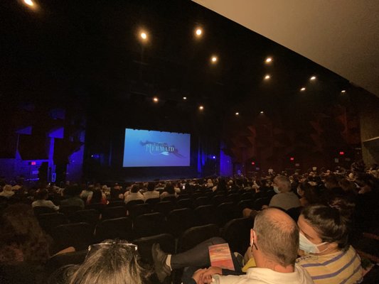 CORAL SPRINGS CENTER FOR THE ARTS - Updated September 2024 - 159 Photos & 38 Reviews - 2855 ...