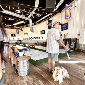 DOOZYDOG! CLUB - Updated July 2024 - 143 Photos & 291 Reviews - 634 ...