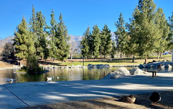 RED HILL COMMUNITY PARK - 237 Photos & 80 Reviews - 7484 Vineyard Ave ...