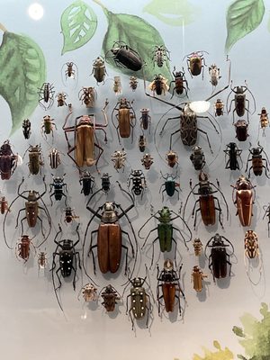 CLEVELAND MUSEUM OF NATURAL HISTORY - Updated April 2026 - 641 Photos ...