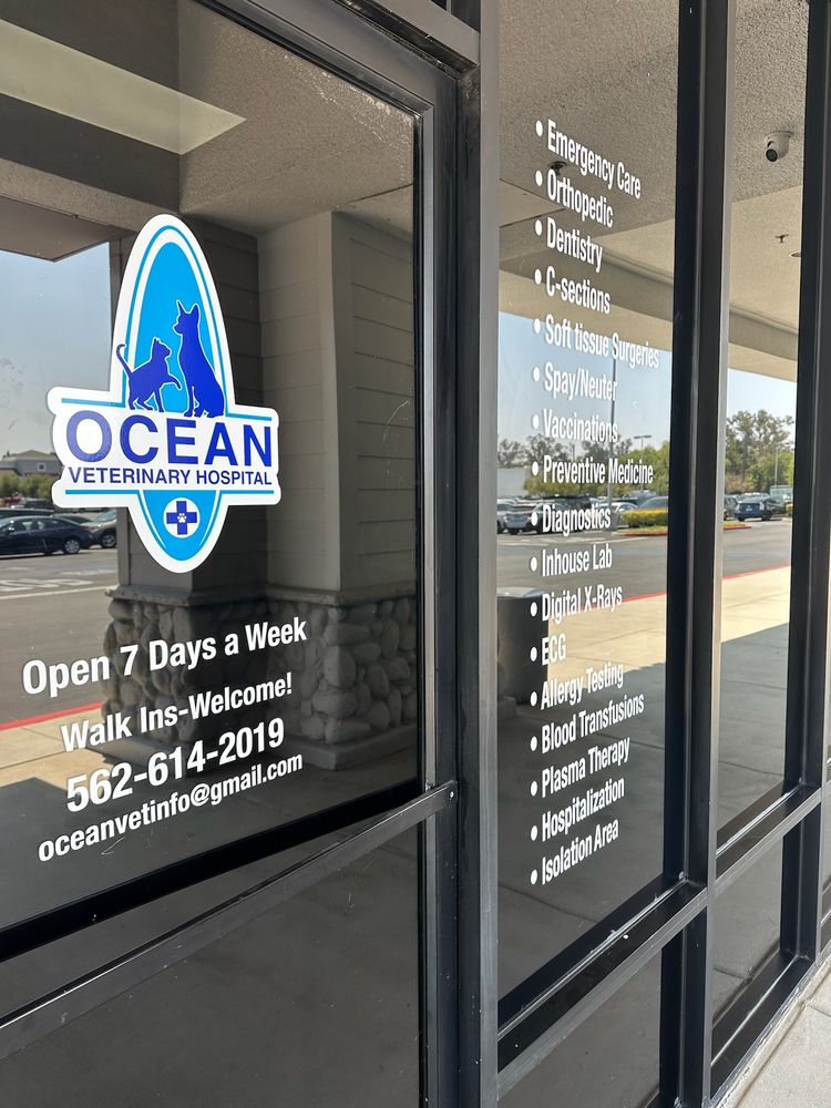 OCEAN VETERINARY HOSPITAL - Updated August 2024 - 31 Photos & 16 ...