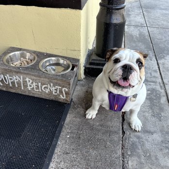 MO’BAY BEIGNET - Updated January 2026 - 481 Photos & 241 Reviews - 451 ...