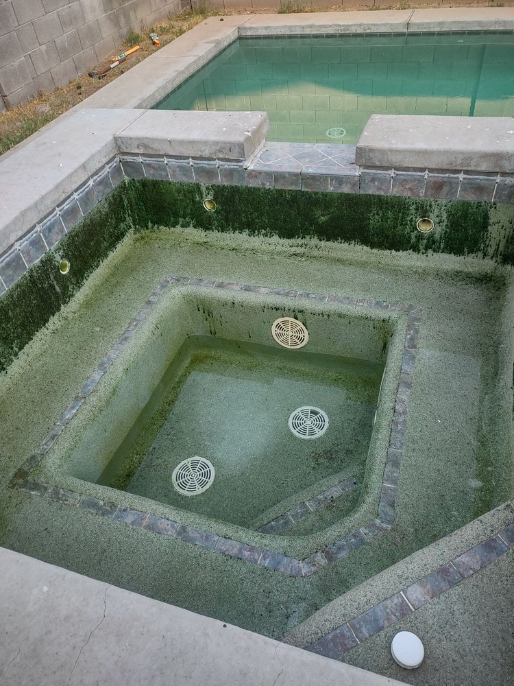 ERWIN POOL CARE - Updated August 2024 - 15 Photos - Glendale , Arizona ...