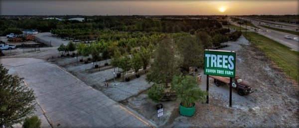 FANNIN TREE FARM - Updated December 2025 - 44 Photos & 70 Reviews ...