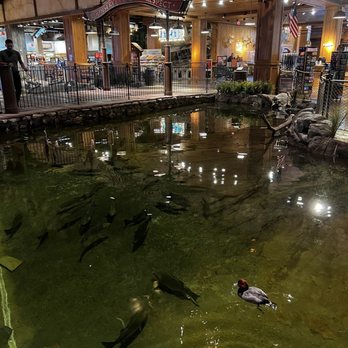 BASS PRO SHOP - 1651 Photos & 375 Reviews - 1 Bass Pro Dr, Memphis ...