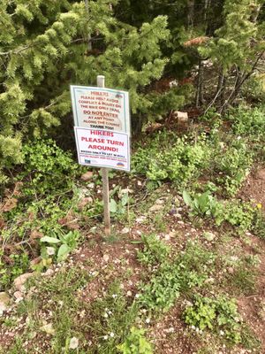 BIGHORN NATIONAL FOREST RED GRADE ROAD - 19 Photos - 2013 Eastside 2nd ...